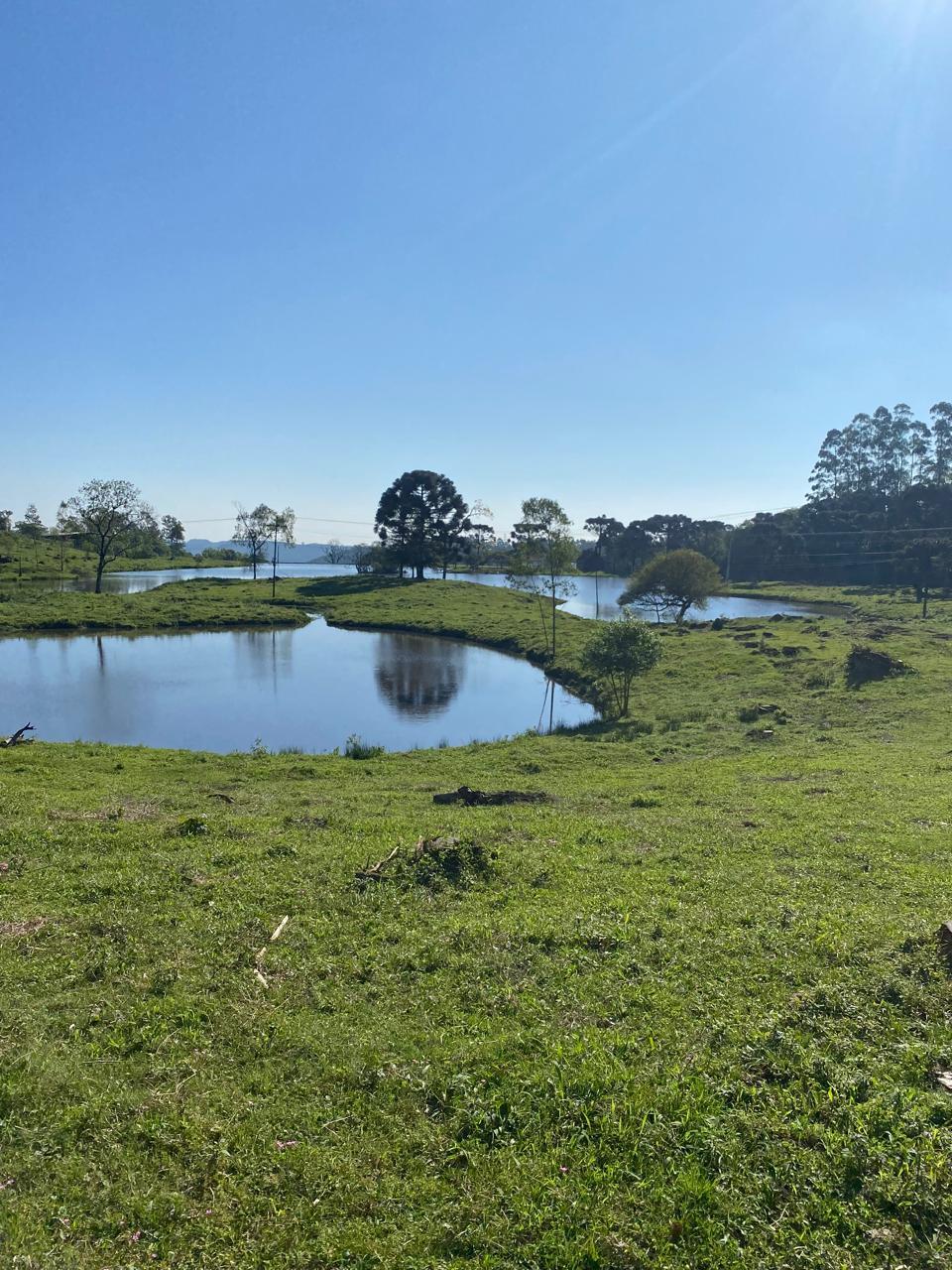 Caminhada Sítio Da Natureza - Acasargs